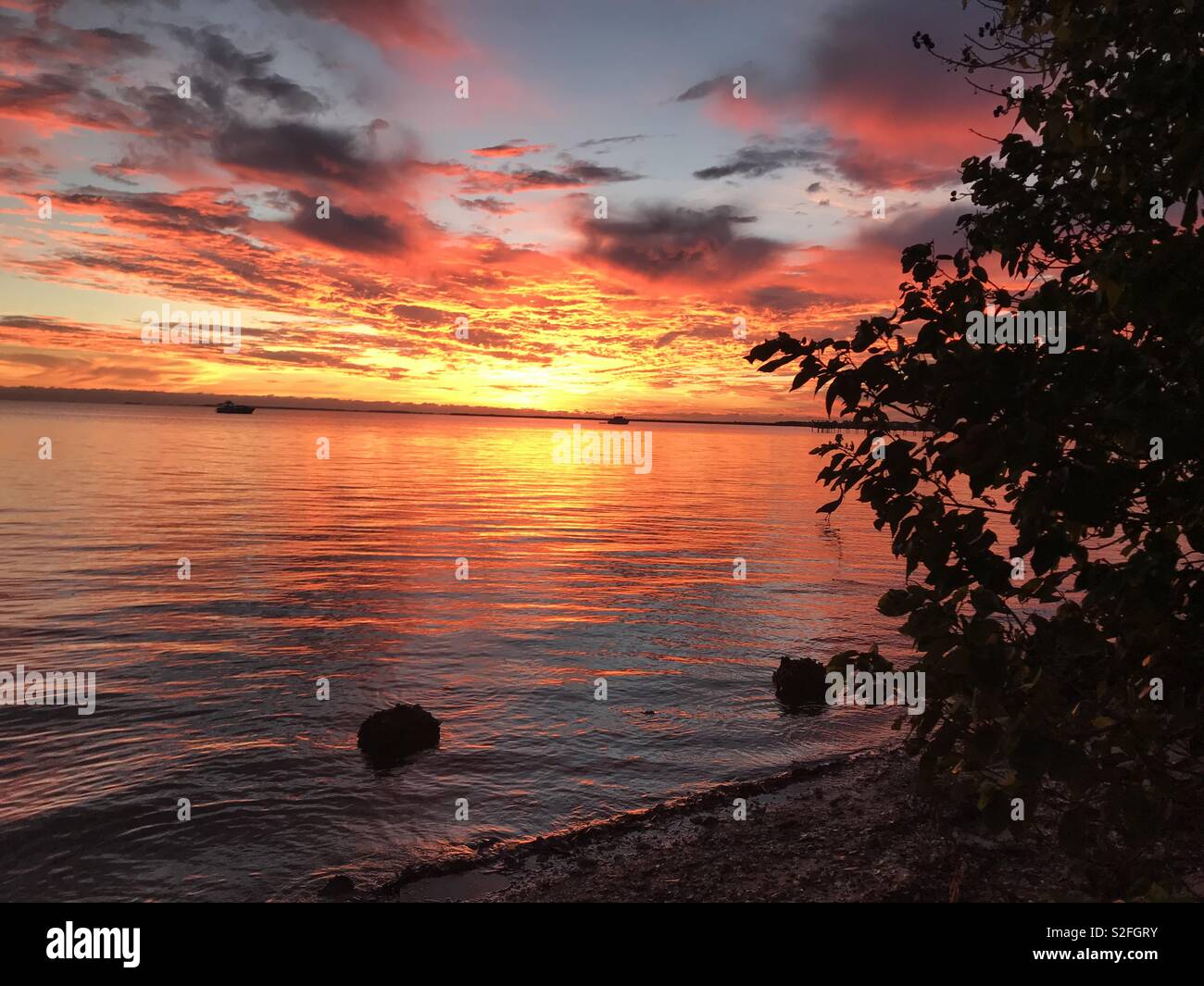 Port charlotte harbor hi-res stock photography and images - Alamy