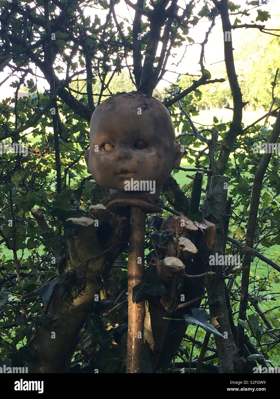 Creepy dolls hi-res stock photography and images - Alamy