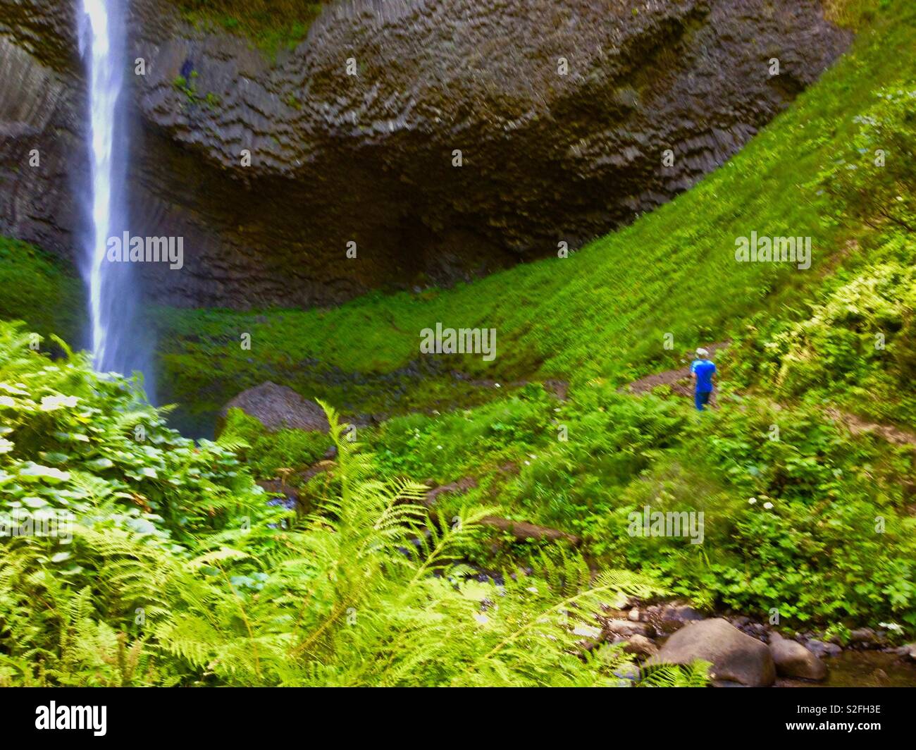 Latourell Falls and man Stock Photo - Alamy