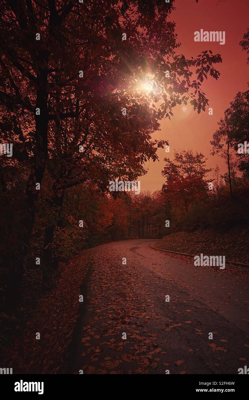 the road with red trees in the mountain Stock Photo - Alamy