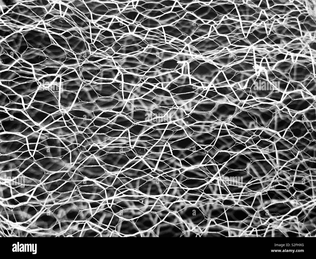 White net hi-res stock photography and images - Alamy