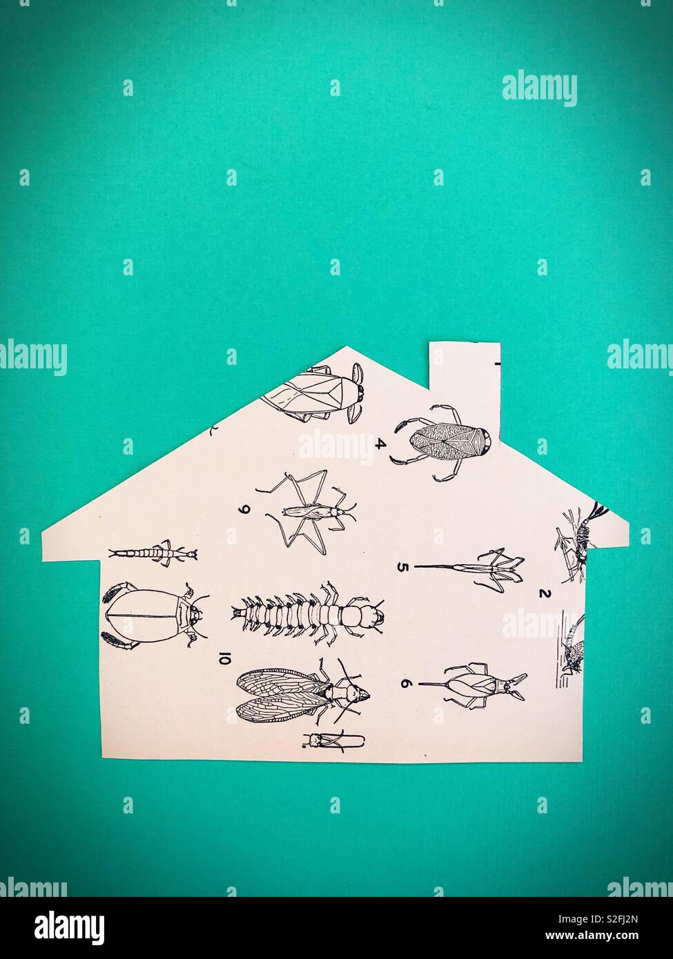 Infestation house hi-res stock photography and images - Alamy