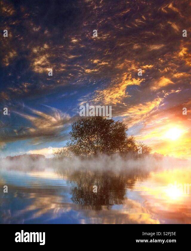 tree and sunset in the lake Stock Photo - Alamy