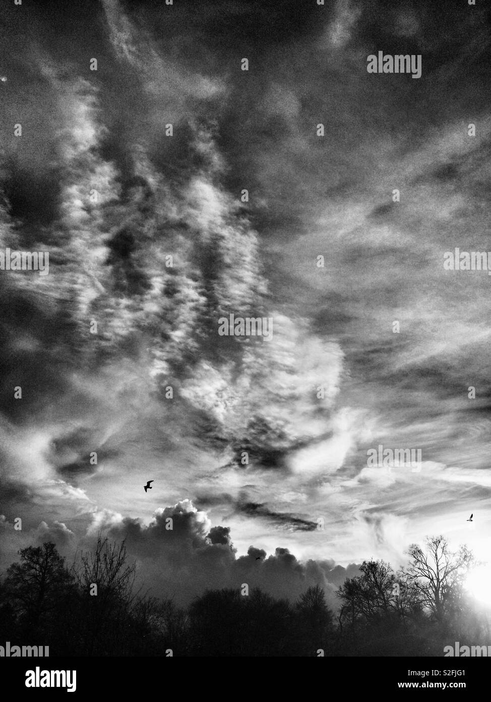 Monochromatic landscape sky clouds Black and White Stock Photos ...