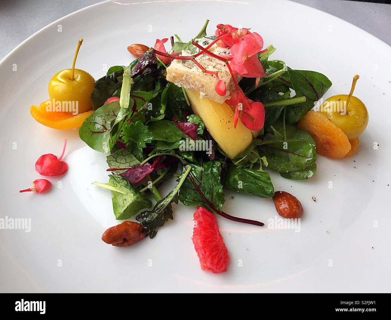 Gourmet presentation of leafy green salad with fruit cheese and flower ...