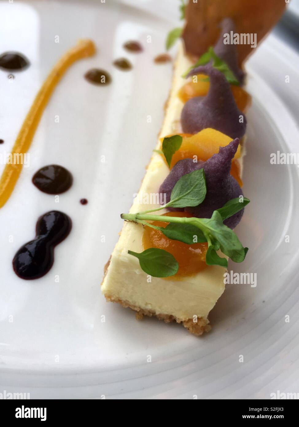 Gourmet presentation of cheesecake dessert with edible decorations at ...