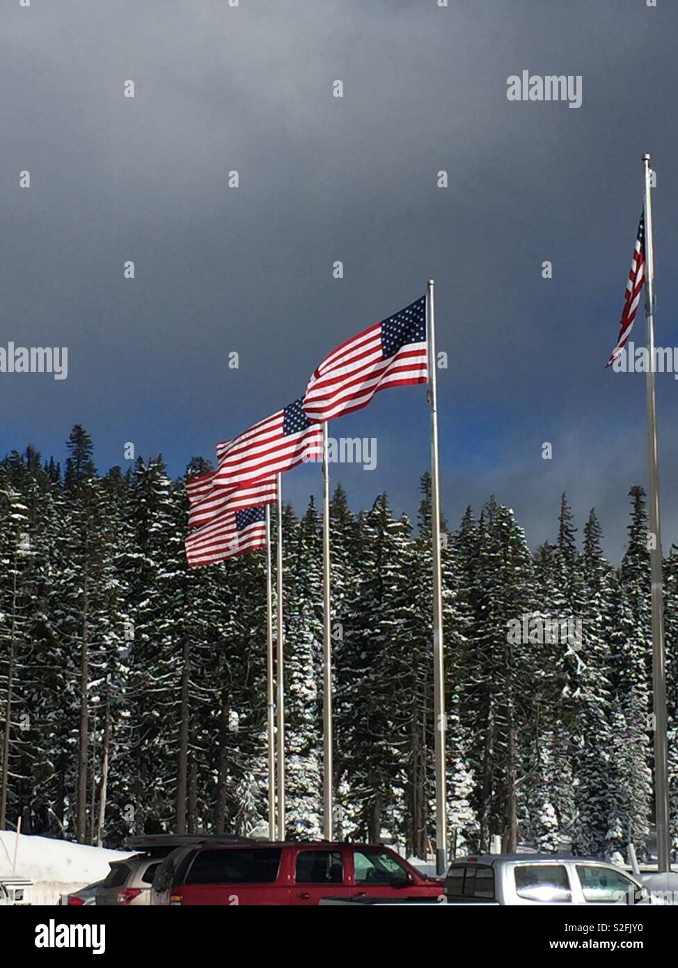 American flags in the snow Stock Photo - Alamy