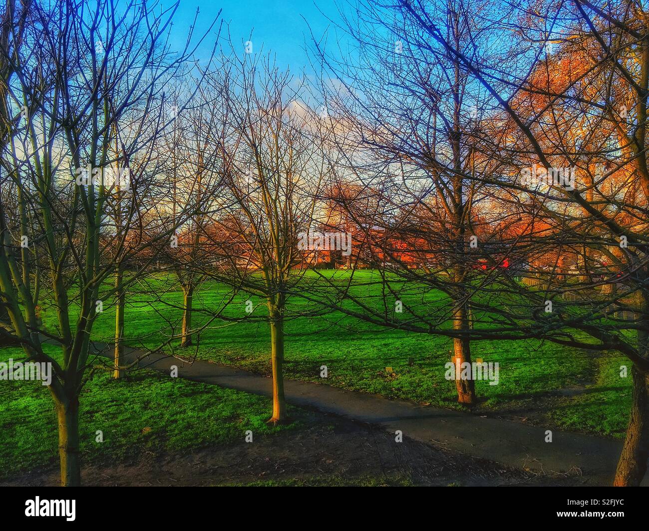 Outside outdoors park hi-res stock photography and images - Alamy