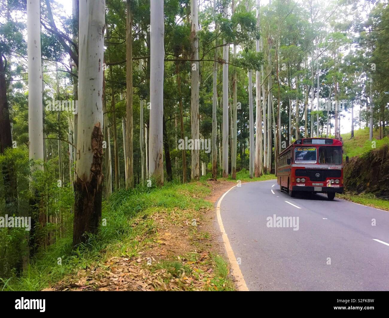 Diyatalawa hi-res stock photography and images - Alamy