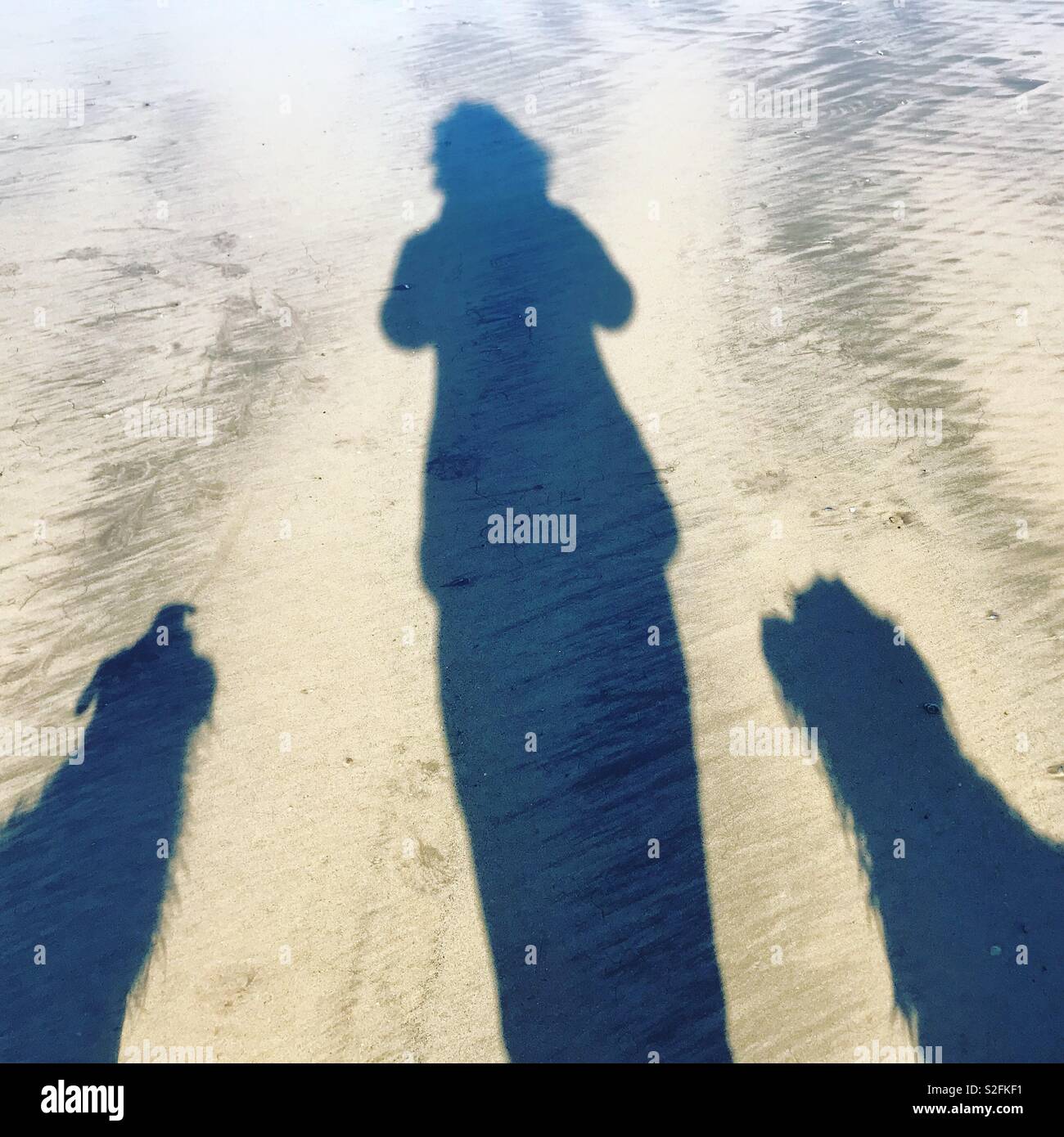 Man and dog shadow hi-res stock photography and images - Alamy