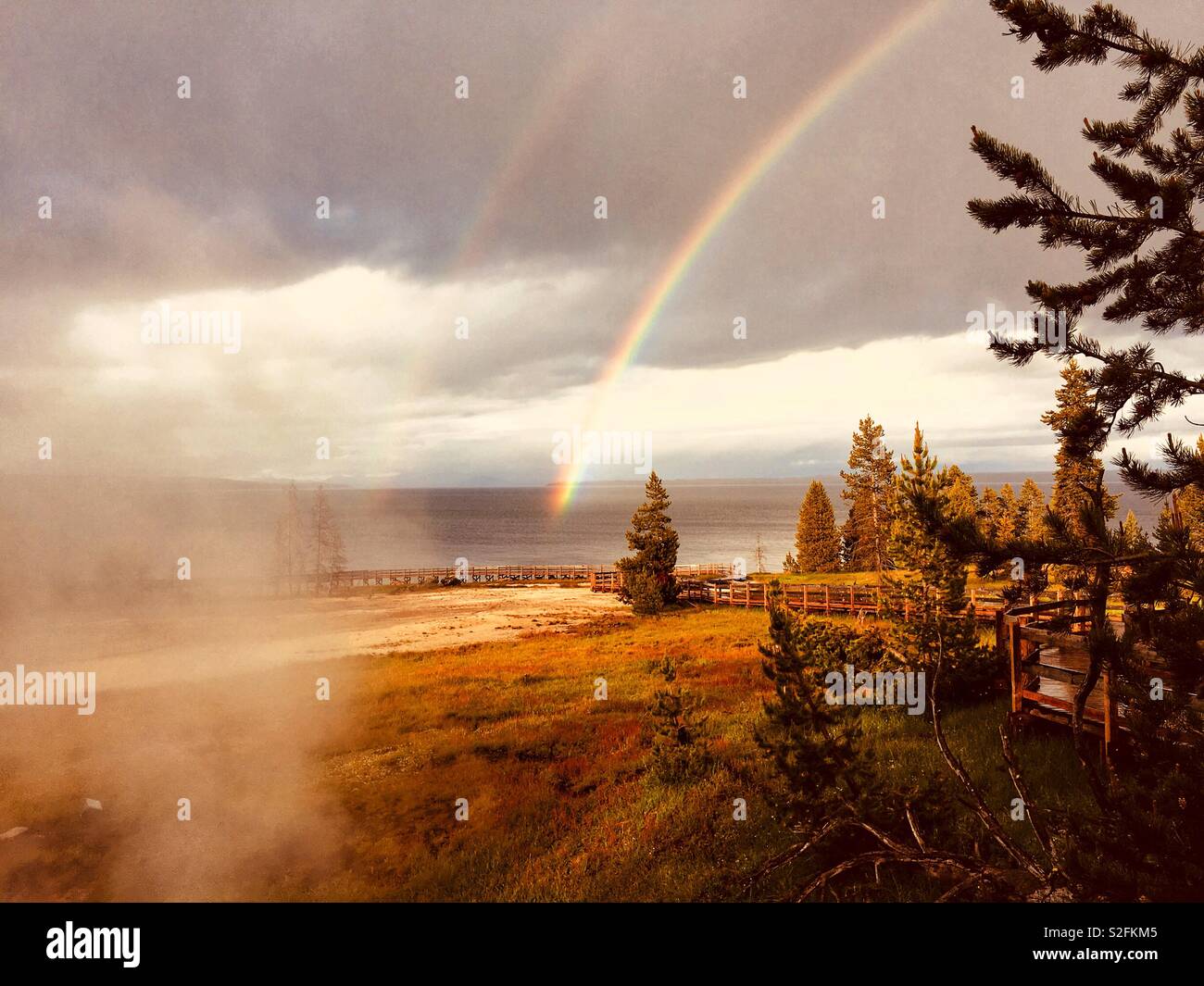 Rainbow and pine trees hi-res stock photography and images - Alamy