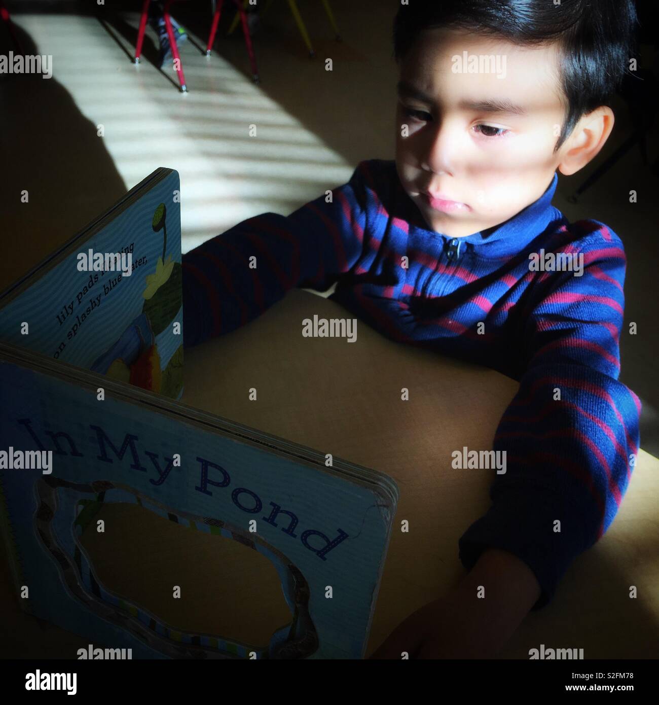 A preschool boy is reading under the sunlight from the window curtain ...