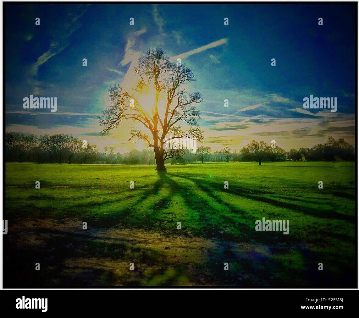 Peckham Rye common in South London Stock Photo - Alamy