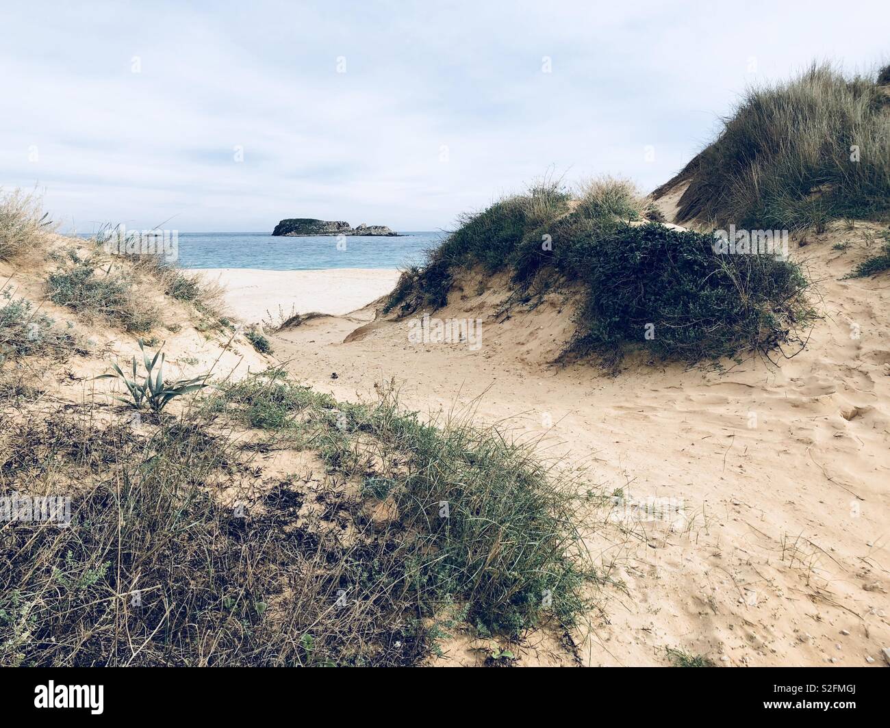 Sand dunes in winter Stock Photo - Alamy