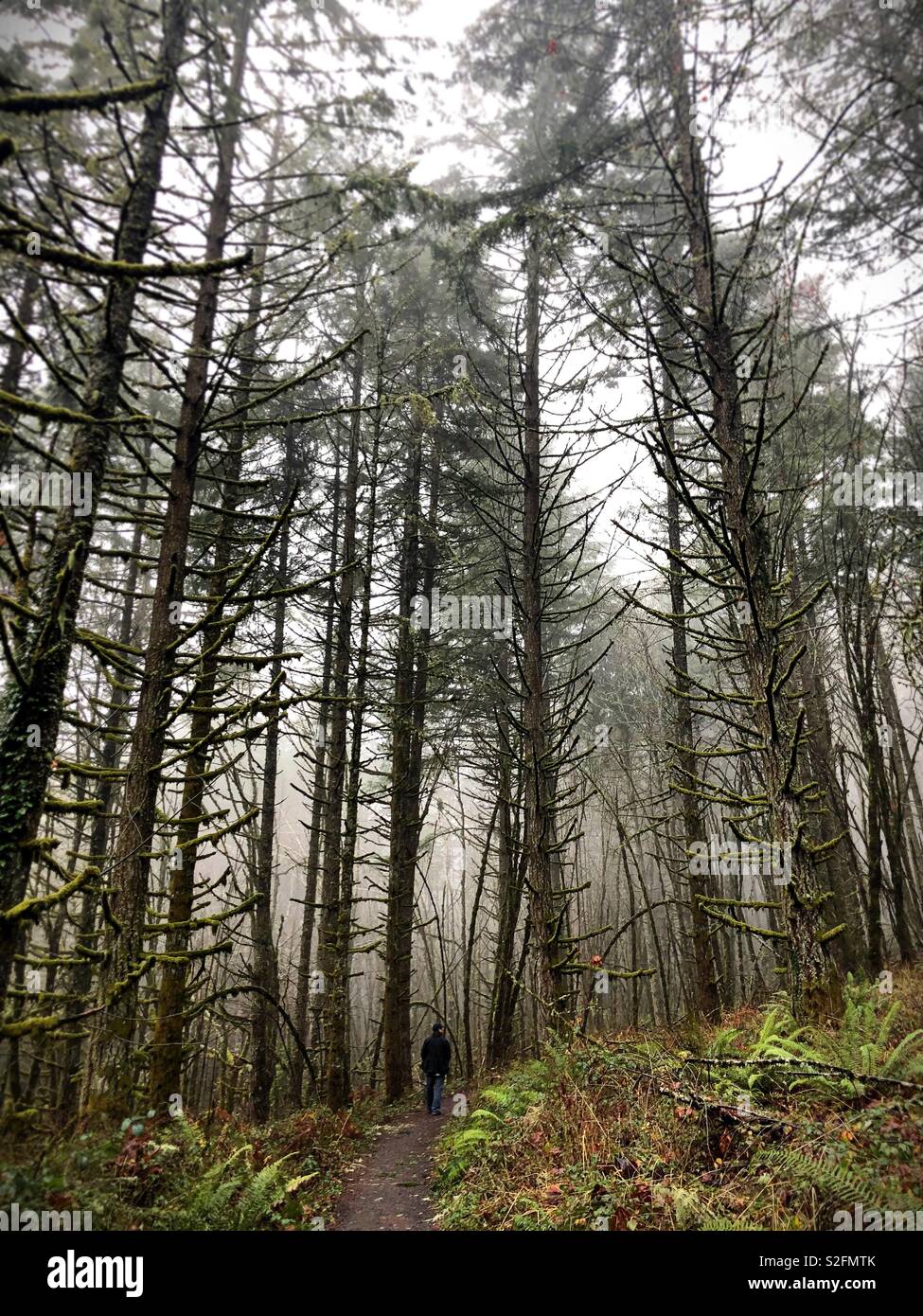 Eugene man hi-res stock photography and images - Alamy