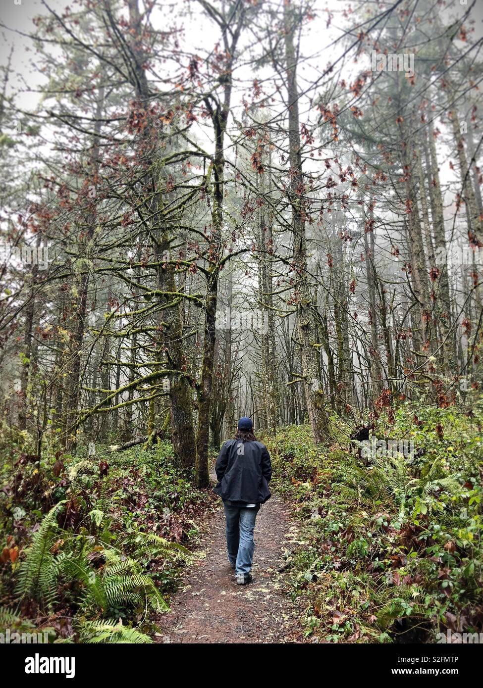 Man walking forest hi-res stock photography and images - Alamy