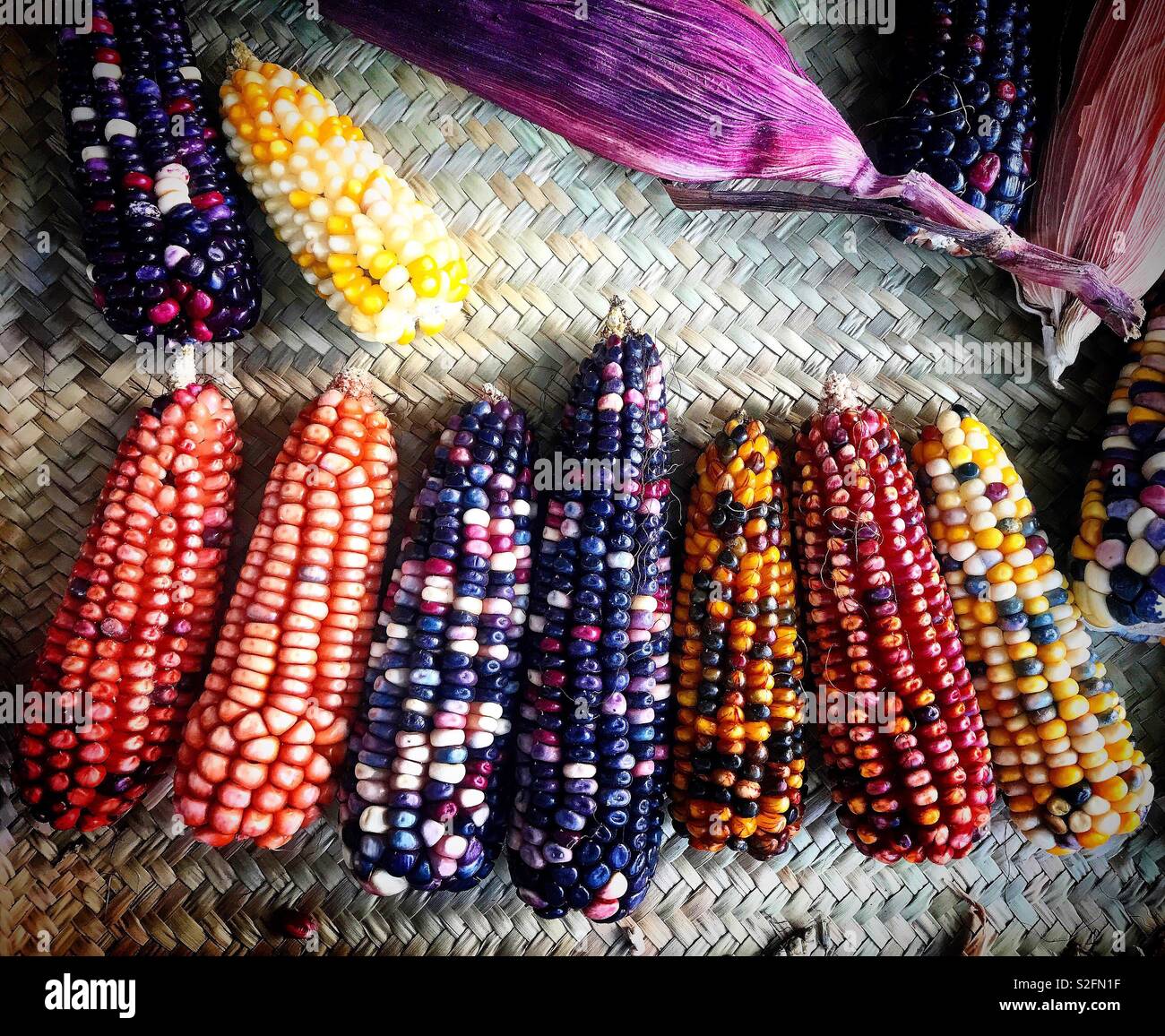 Colored natural corn is displayed in a restaurant in Cholula, Puebla ...