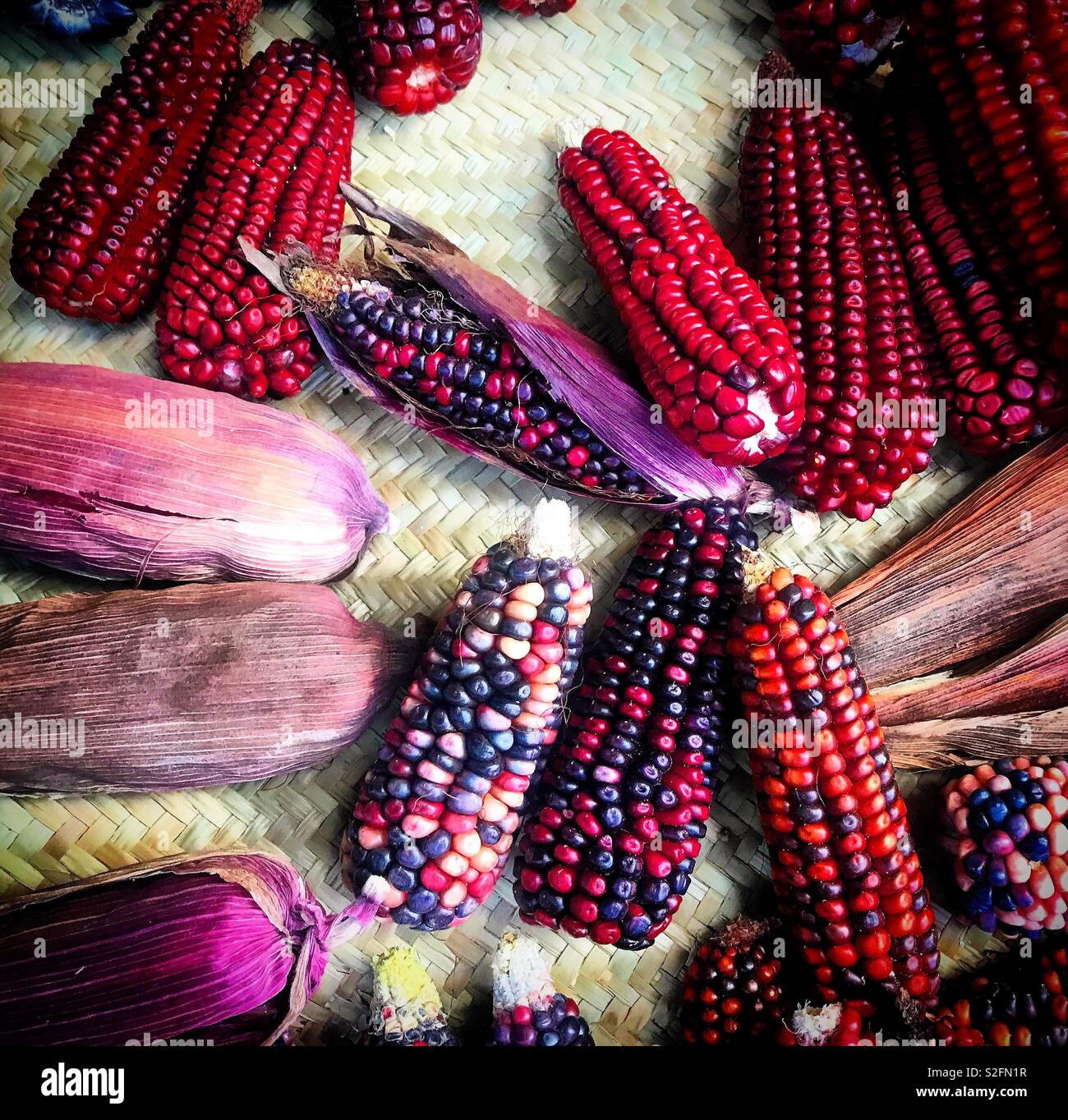 Red Mexican corn in a restaurant in Cholula, Puebla, Mexico Stock Photo ...