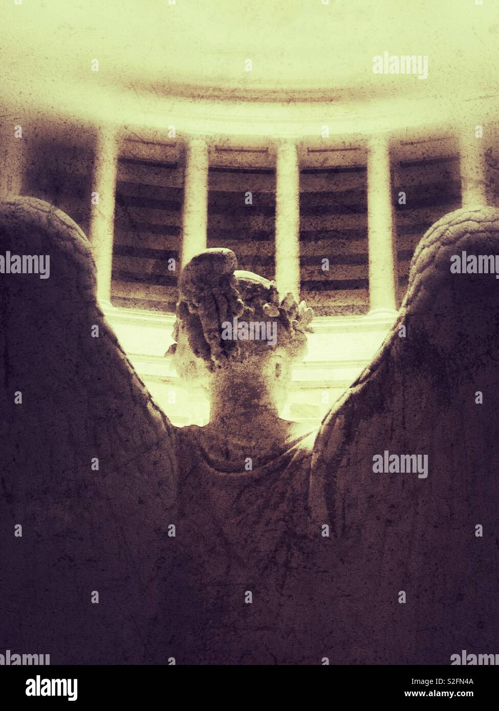 Back of angel statue hi-res stock photography and images - Alamy
