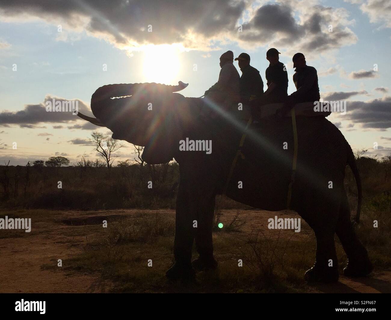 Riding an elephant hi-res stock photography and images - Alamy
