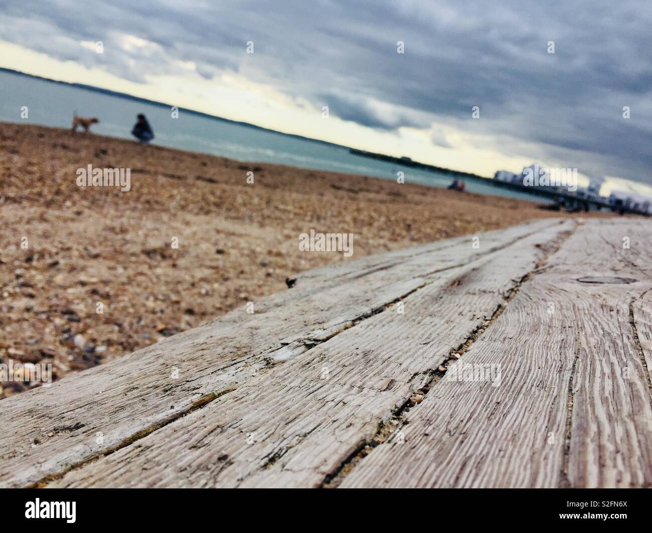 Drift Wood Beach High Resolution Stock Photography and Images - Alamy