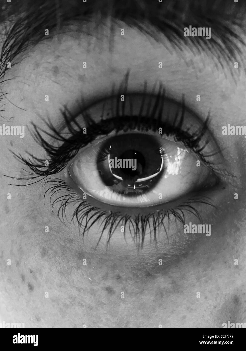 Natural eyes hi-res stock photography and images - Alamy