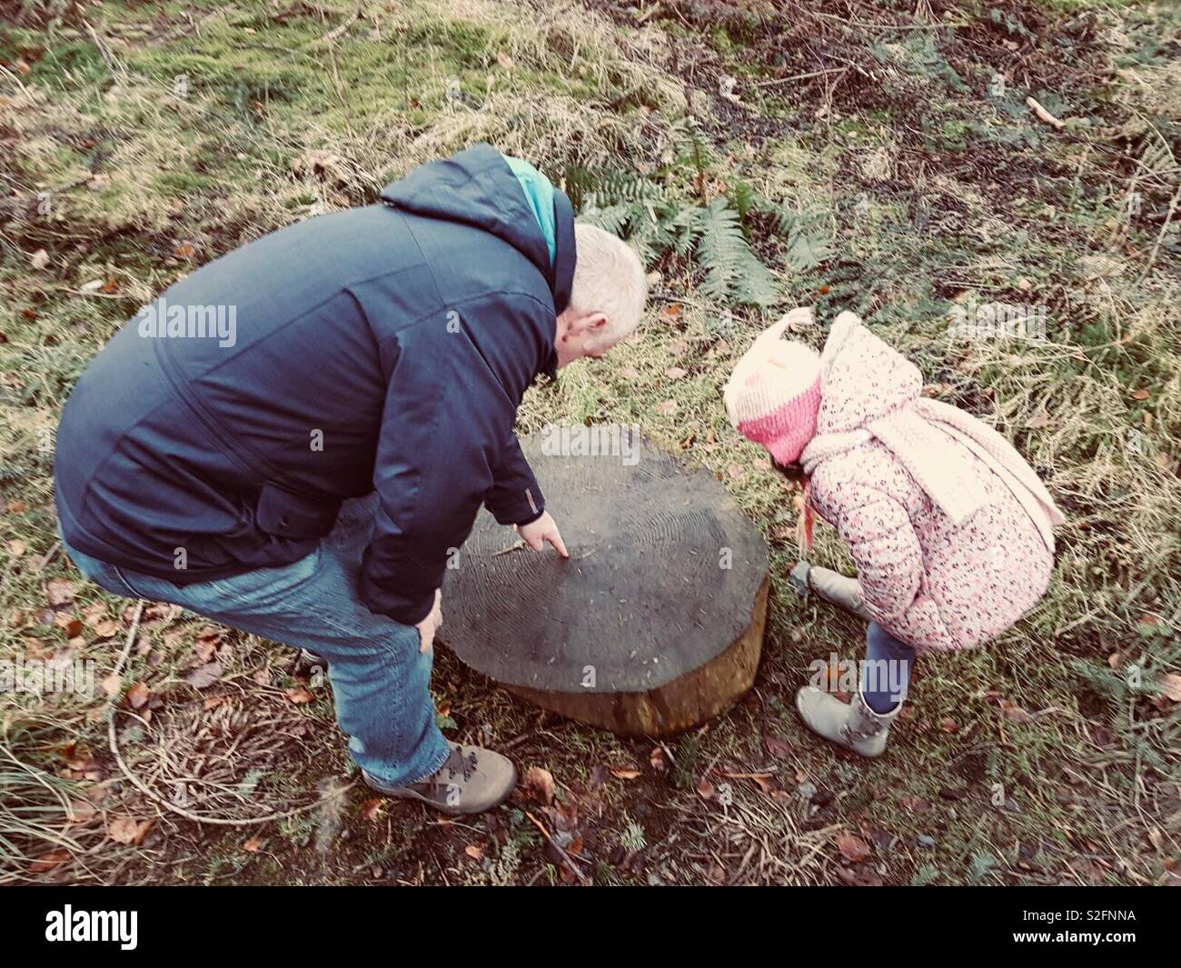 Counting tree rings hi-res stock photography and images - Alamy