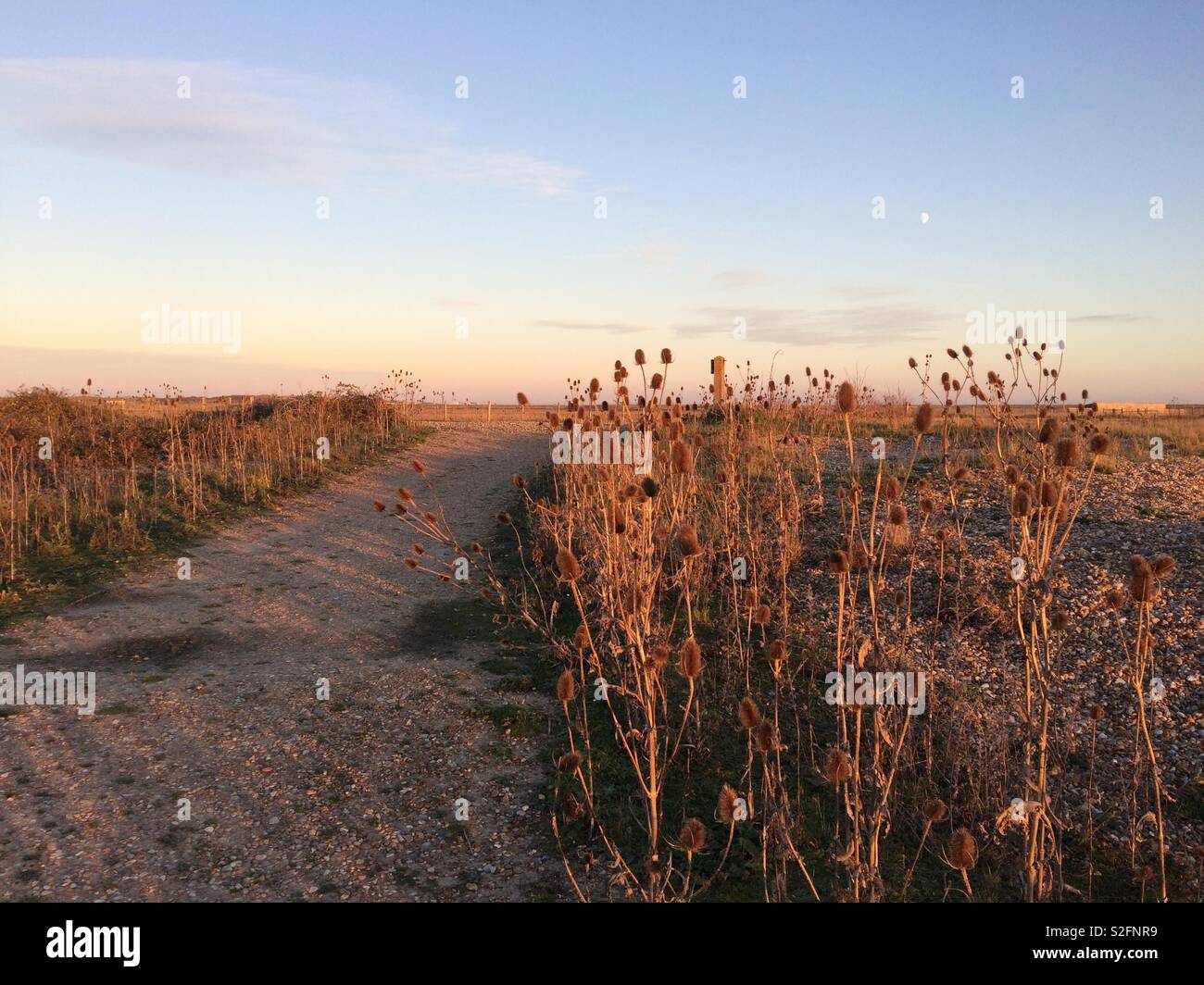 Flat pathway hi-res stock photography and images - Alamy
