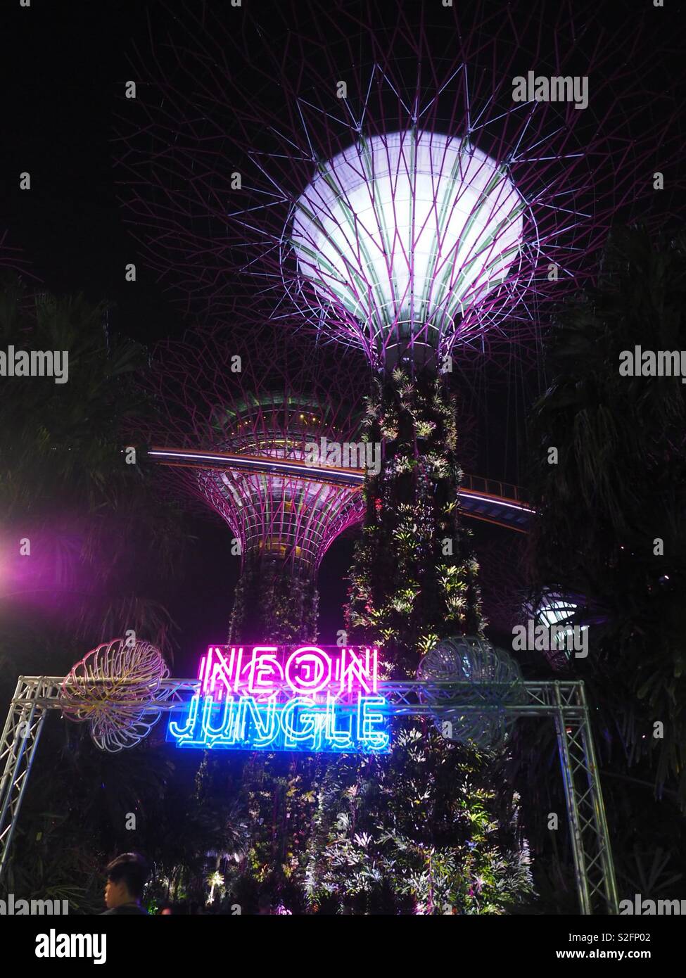 Neon jungle hi-res stock photography and images - Alamy