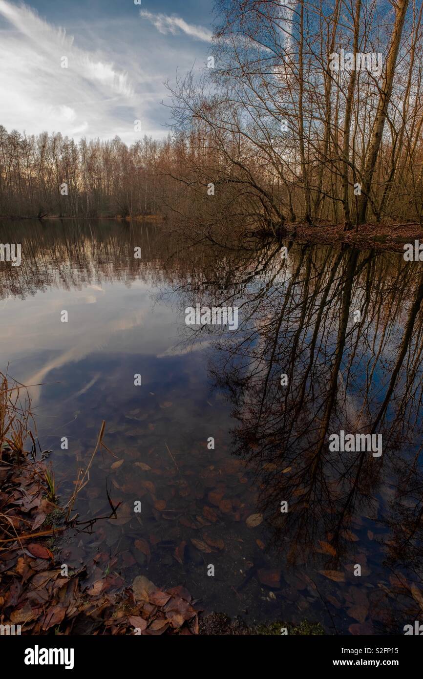 Swamp to sea hi-res stock photography and images - Alamy