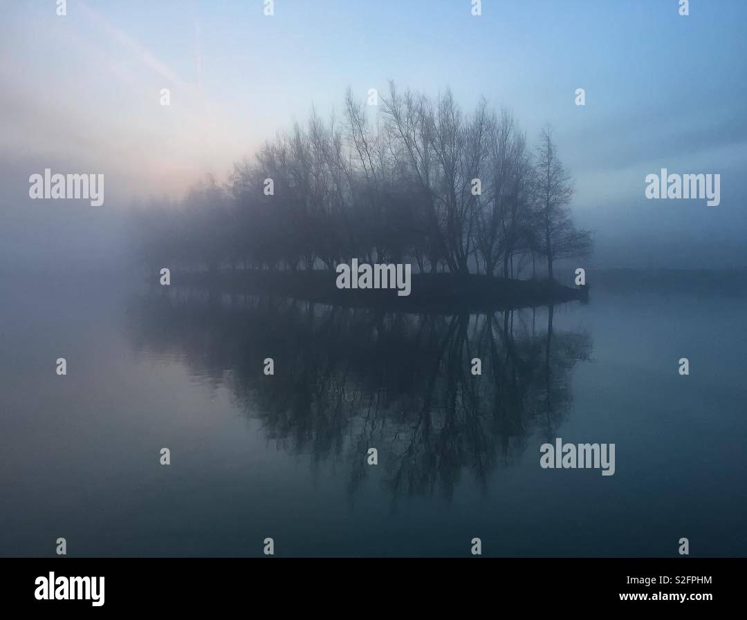 Tree reflection in water Stock Photo - Alamy