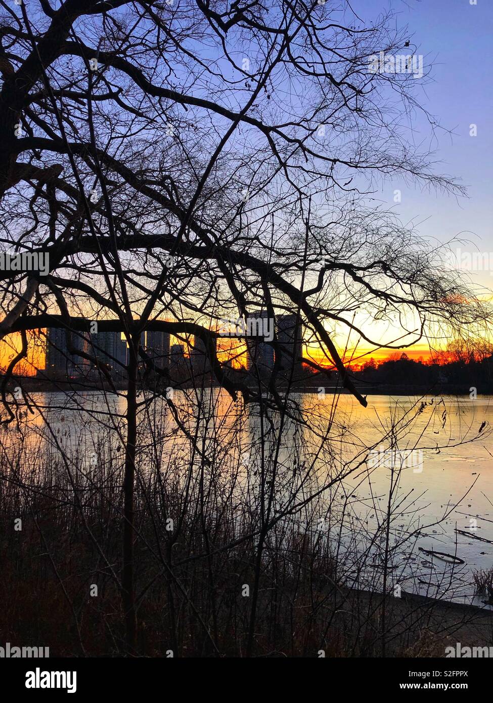 Grenadier pond hi-res stock photography and images - Alamy