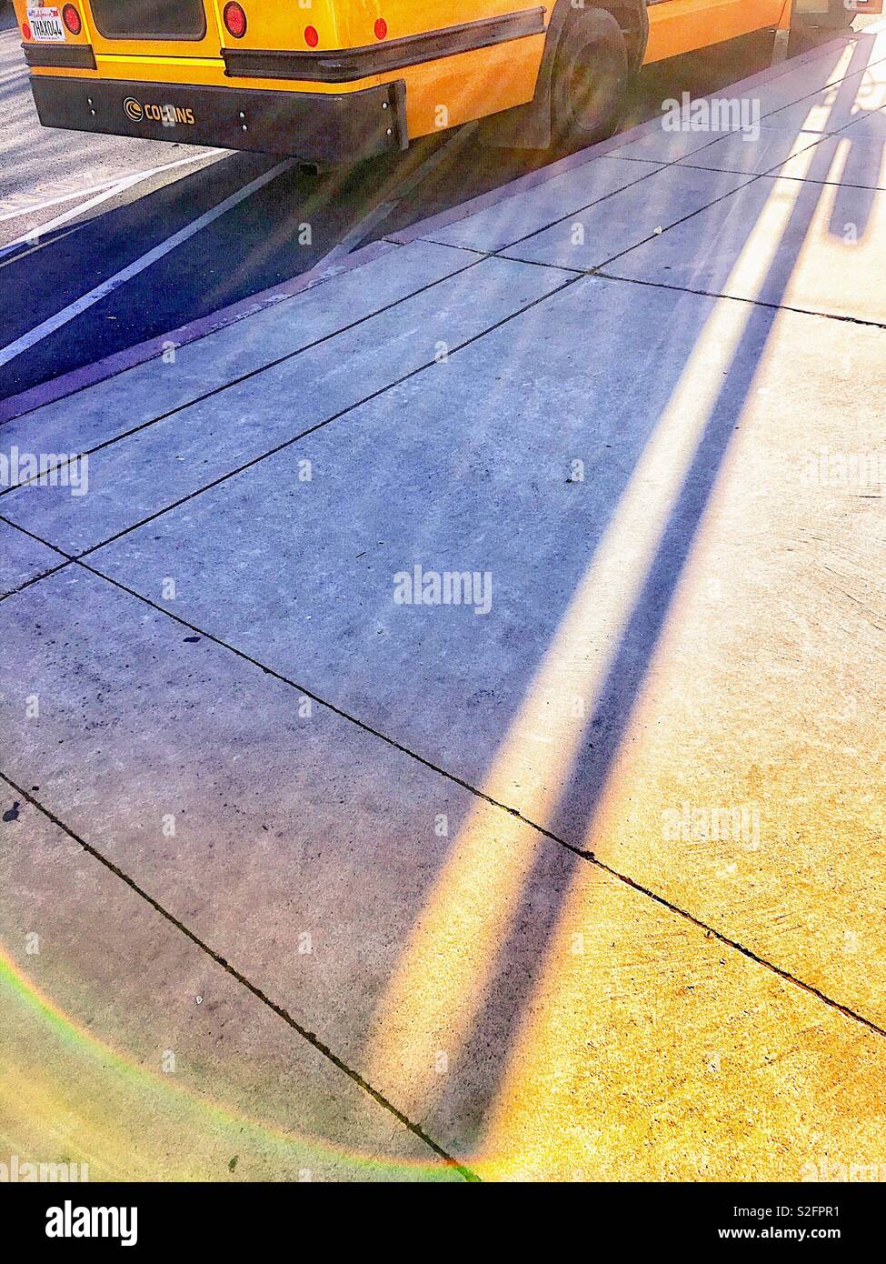 The morning sunlight draw the long shadows on the pavement ground with ...