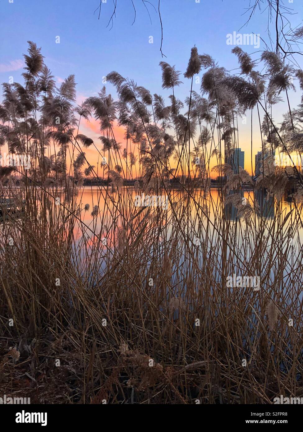 The setting sun over Grenadier Pond in High Park, Toronto, Canada Stock ...