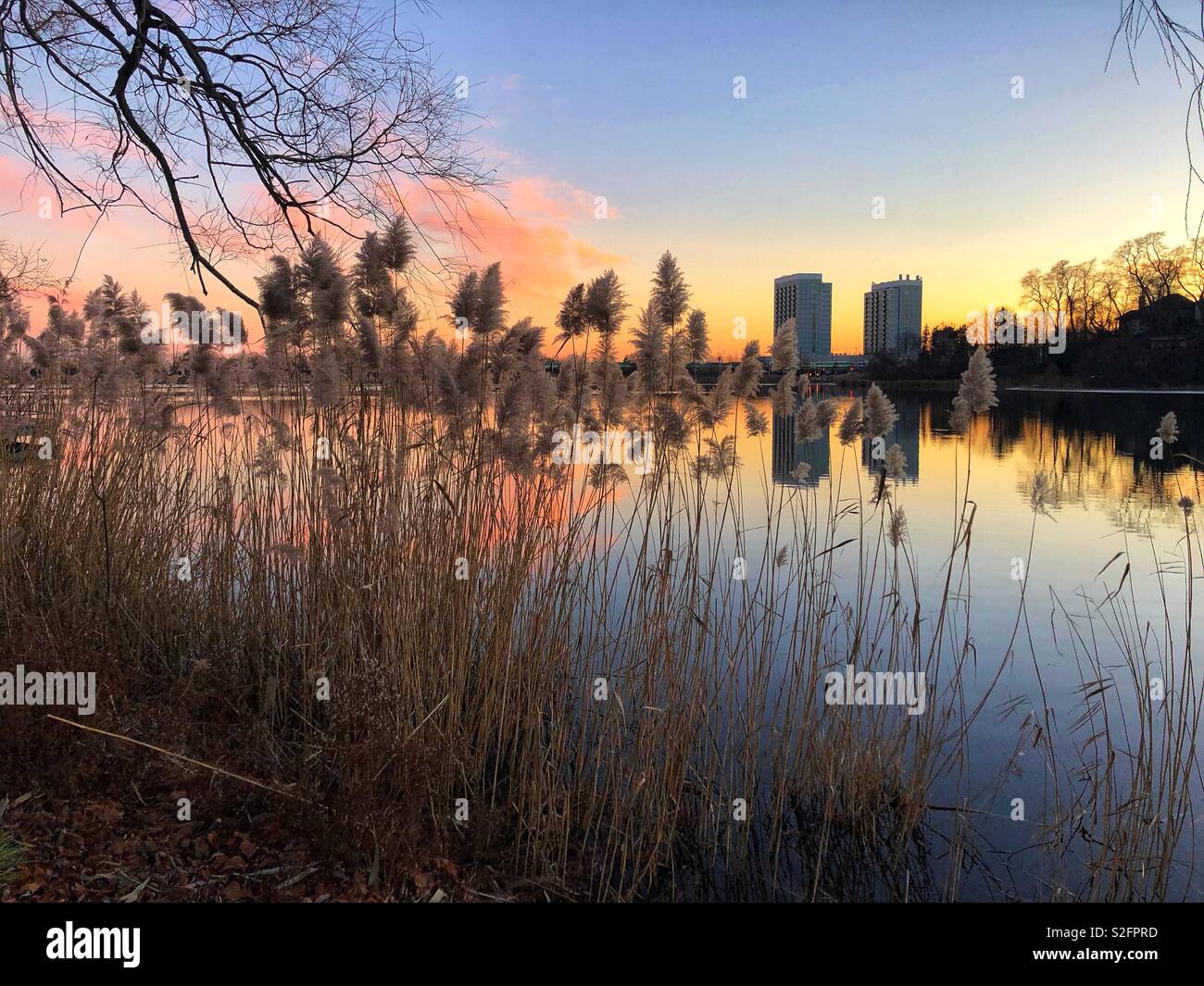 Grenadier pond hi-res stock photography and images - Alamy
