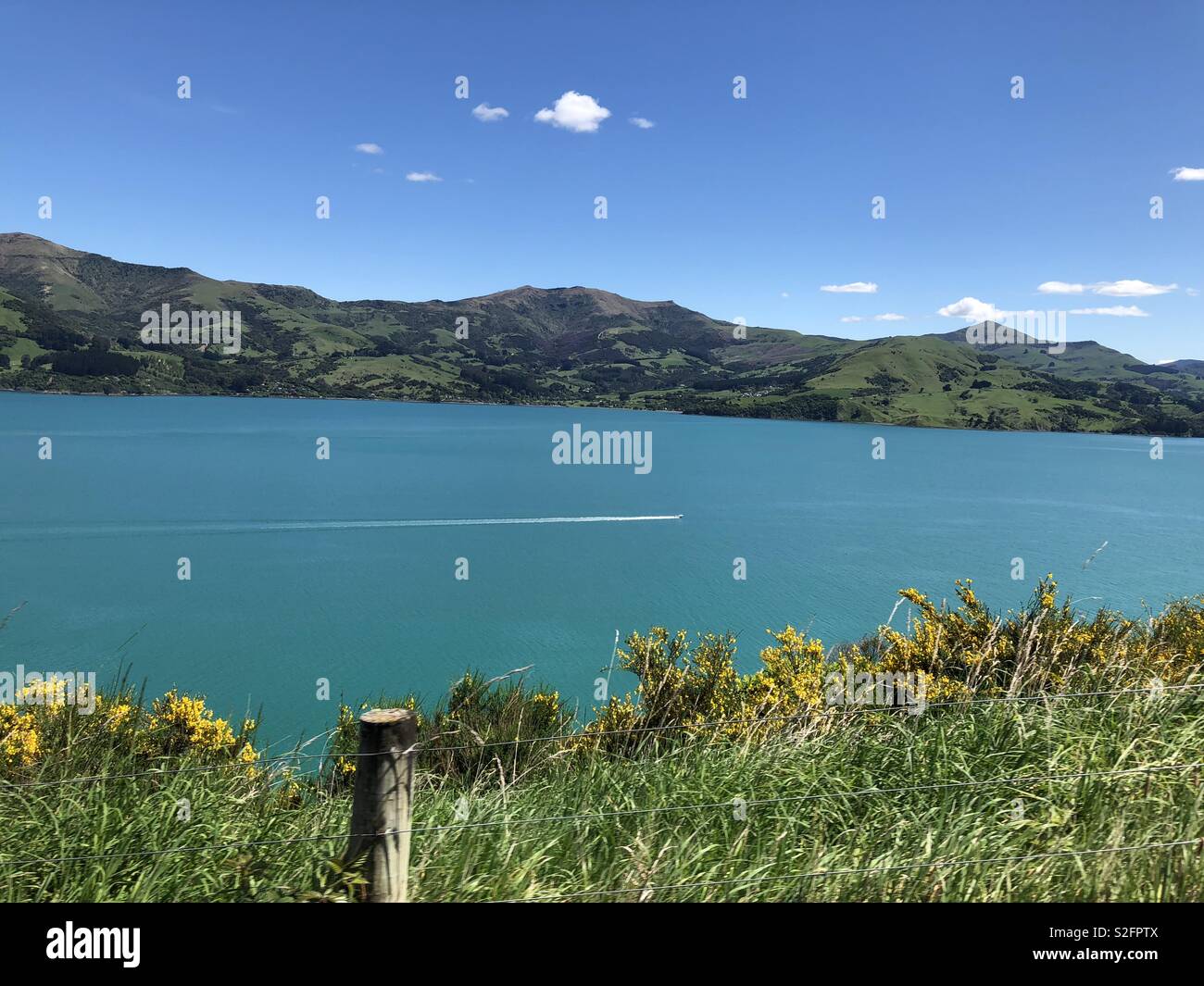Akaroa bay akaroa bay hi-res stock photography and images - Alamy