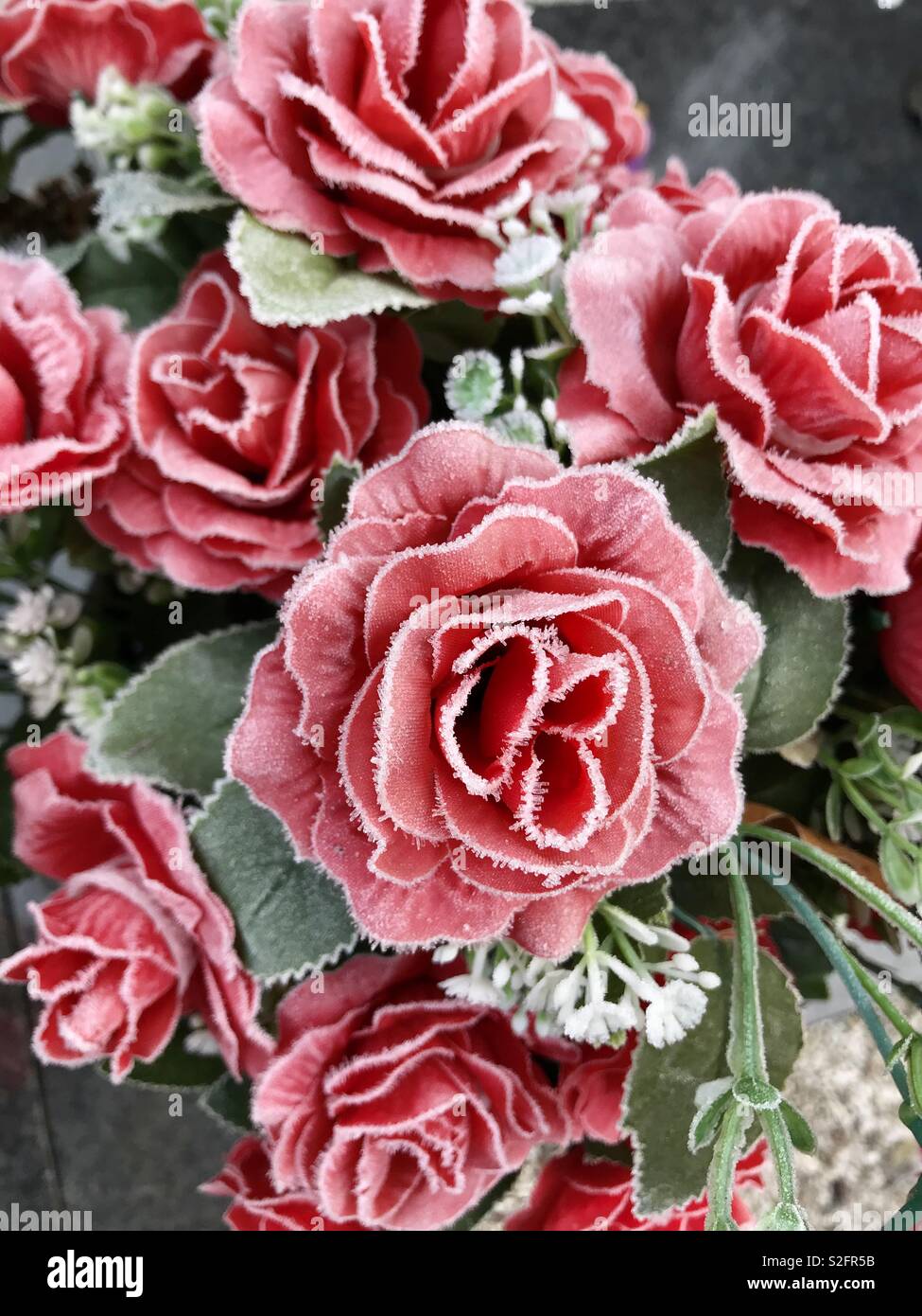 Love frozen hi-res stock photography and images - Alamy