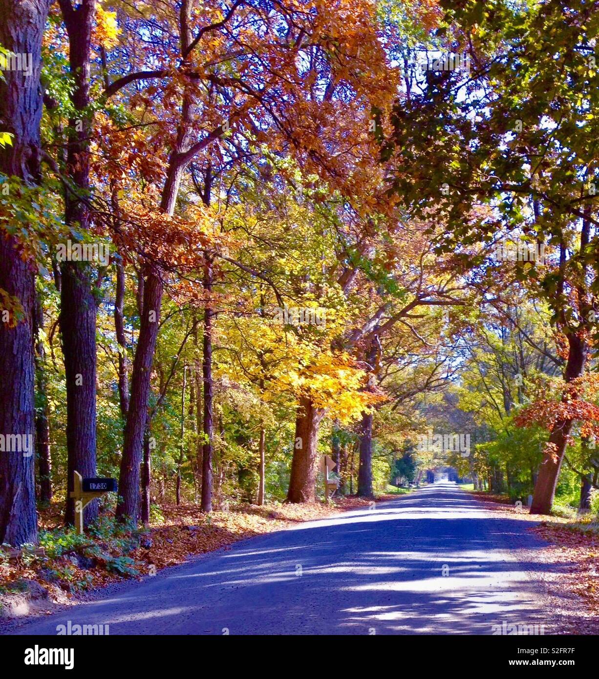 Fall colors along country road Stock Photo - Alamy