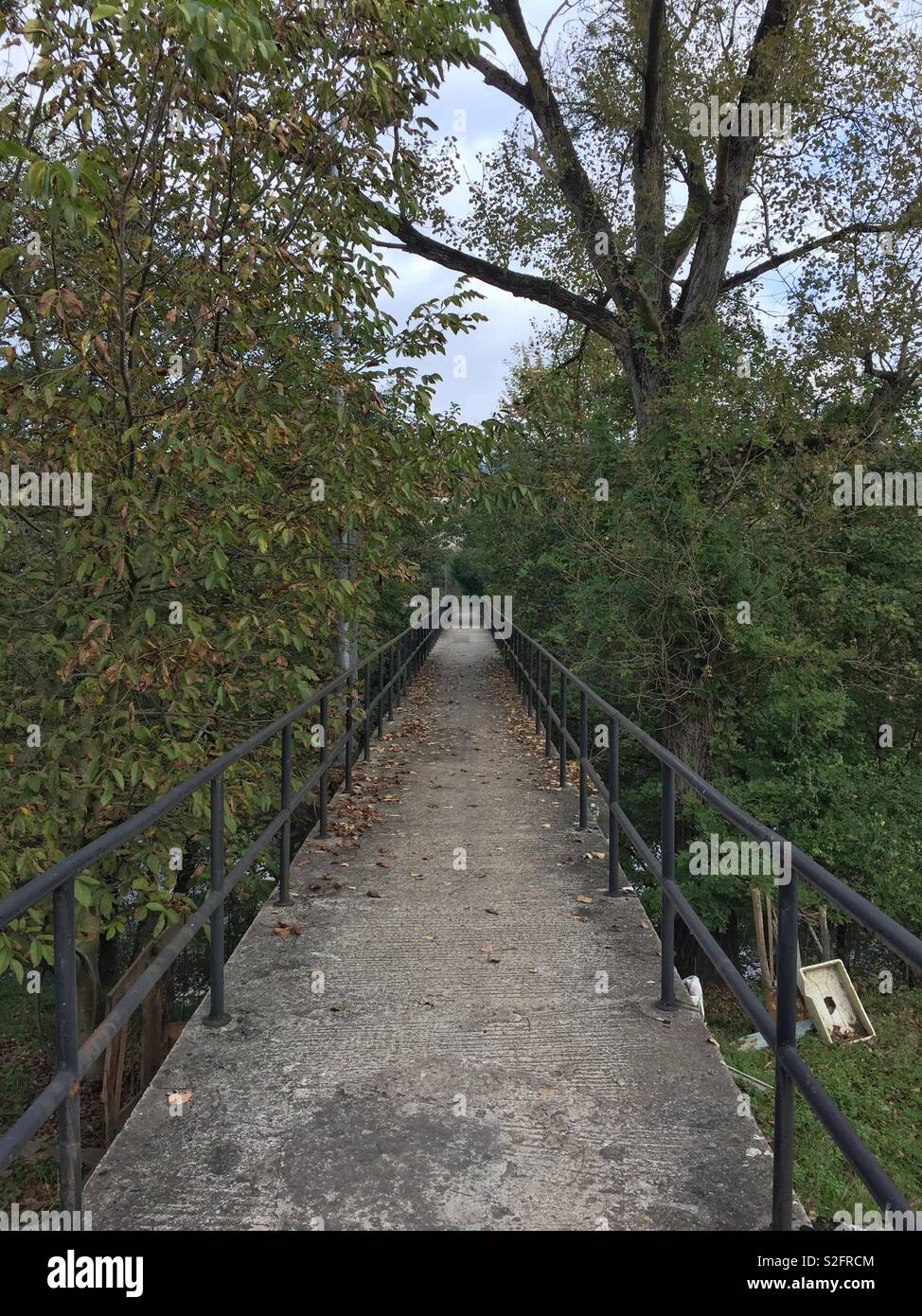 bridge and trees in the forest Stock Photo - Alamy