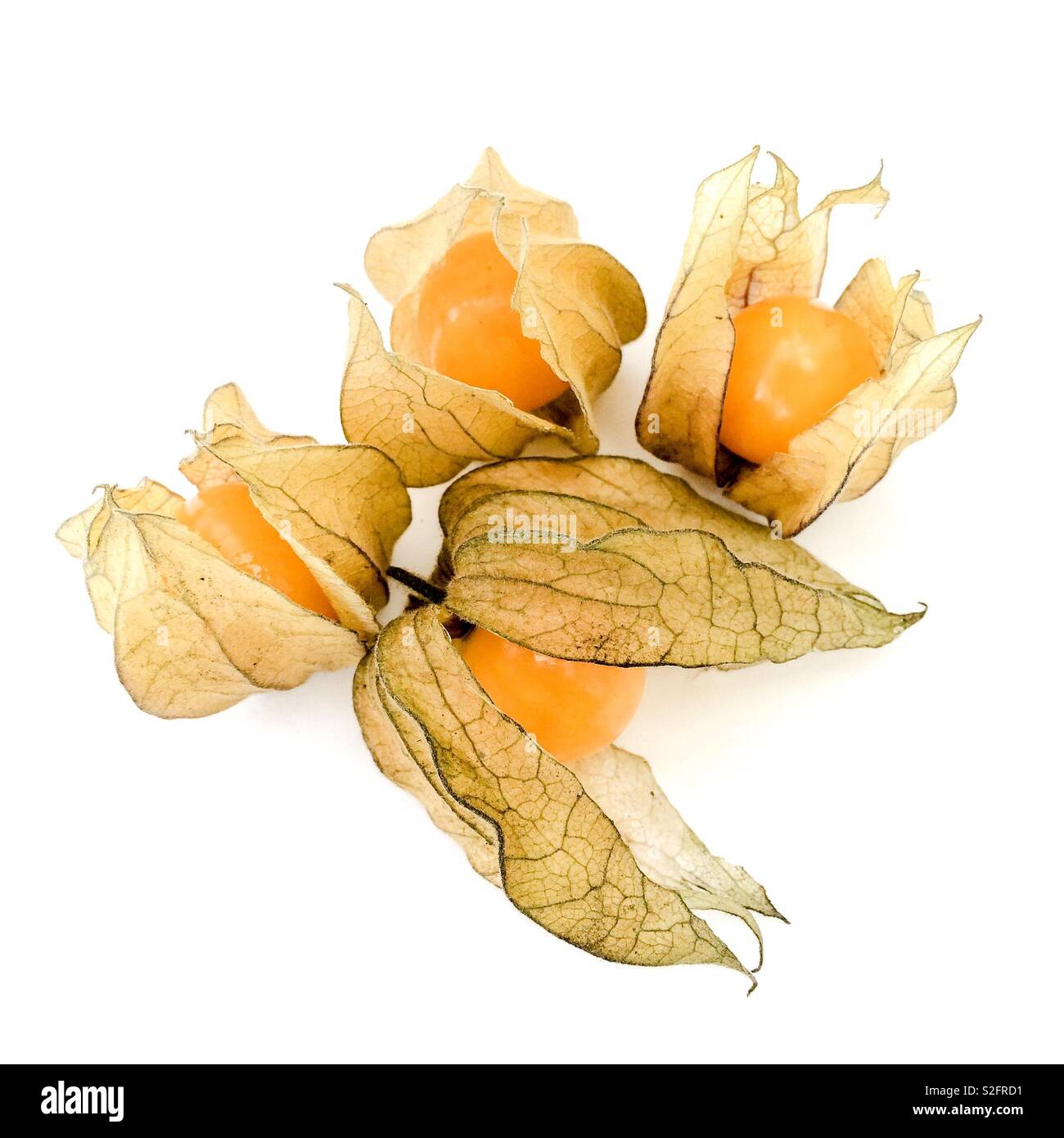 Physalis fruit fruits healthy food hi-res stock photography and images ...