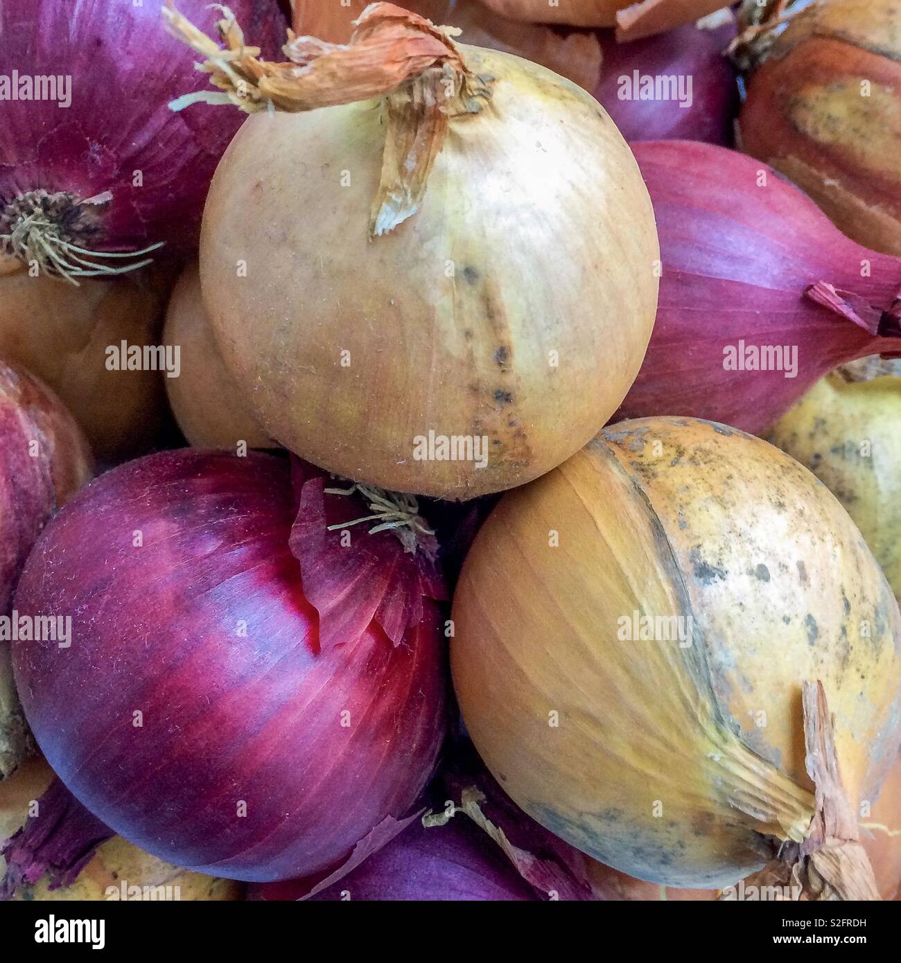 Raw onion skins hi-res stock photography and images - Alamy