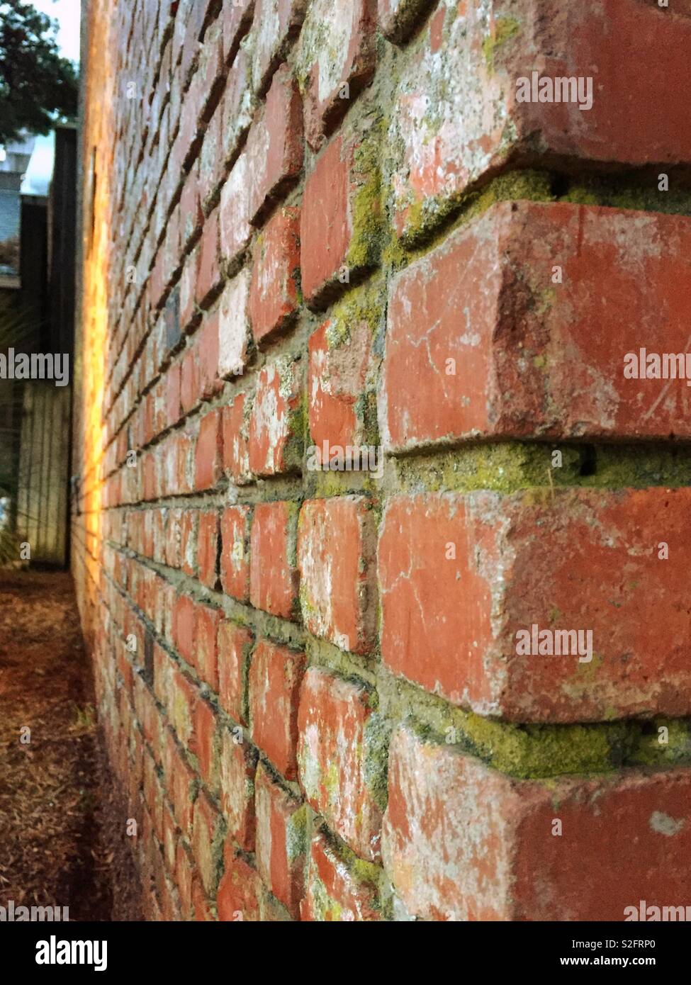Light red brick patterns hi-res stock photography and images - Alamy