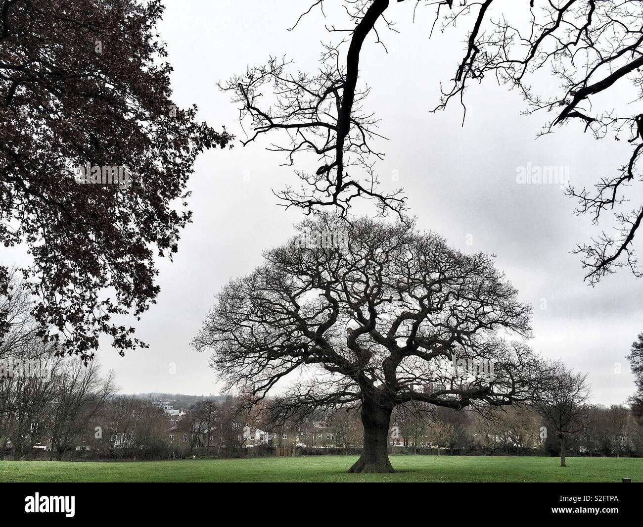 Mountsfield Park in Lewisham London in England Stock Photo - Alamy