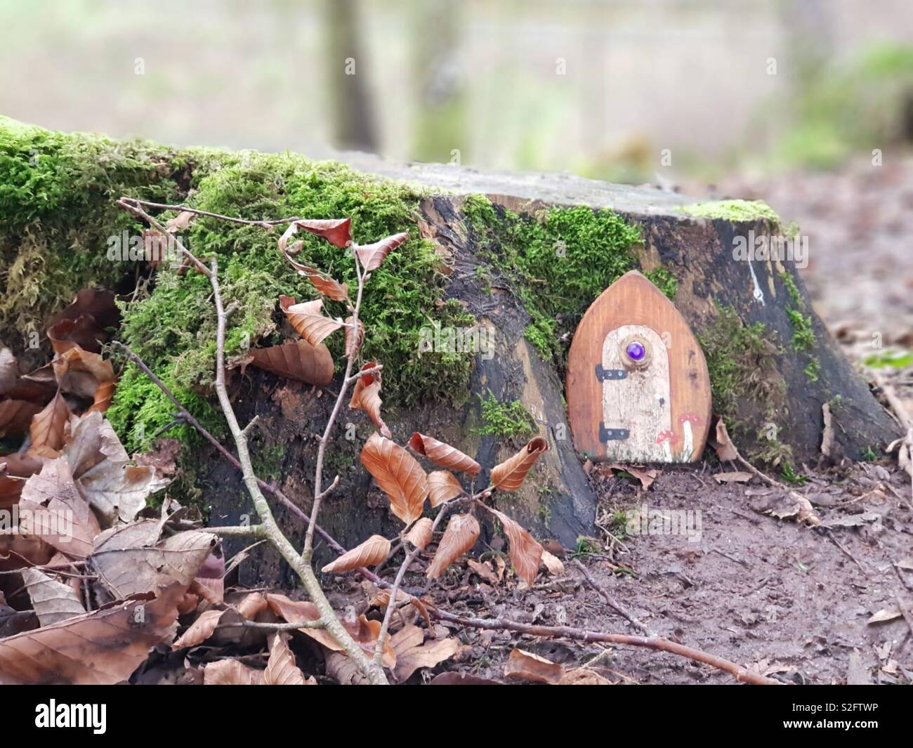 Stomp Of Wood High Resolution Stock Photography and Images - Alamy
