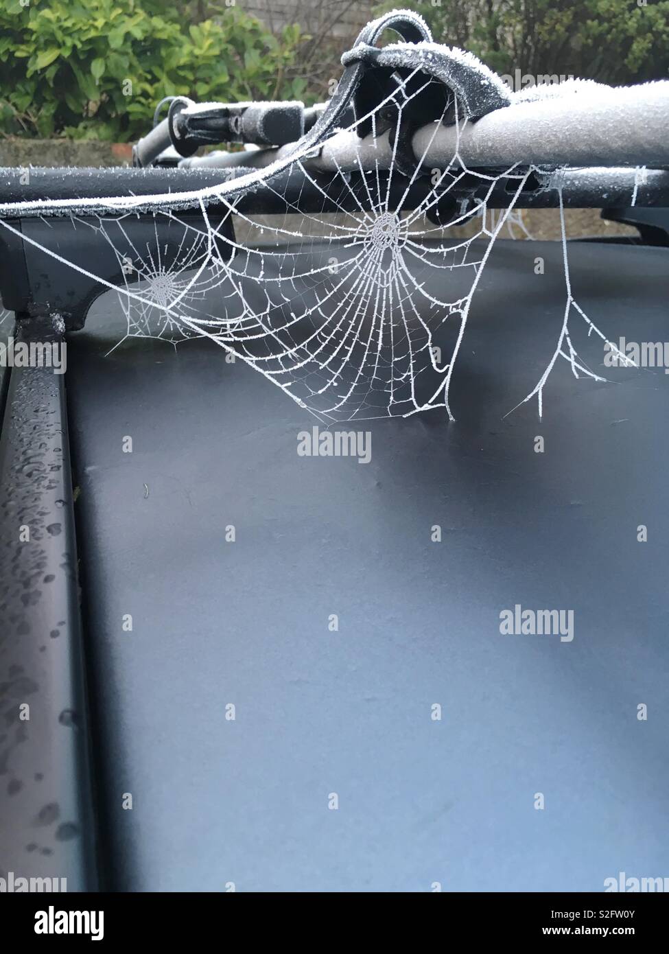 Cobweb ice frost hi-res stock photography and images - Alamy