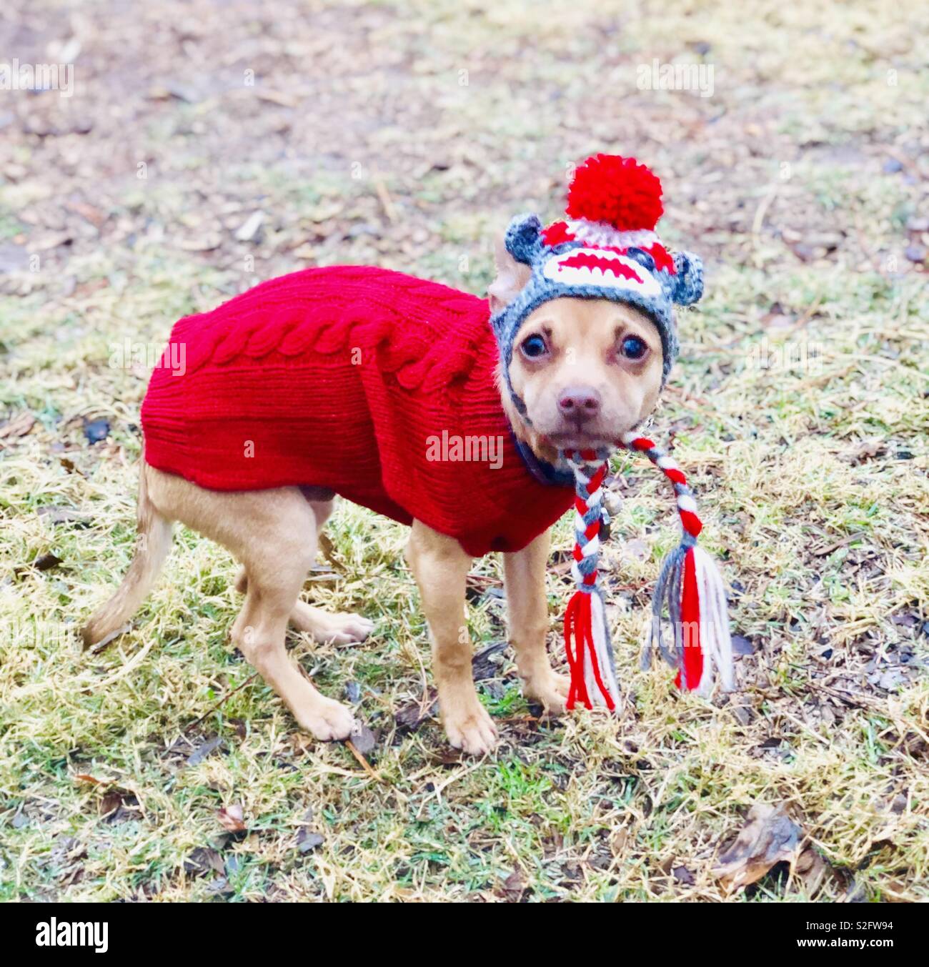 Very cold outside hi-res stock photography and images - Alamy