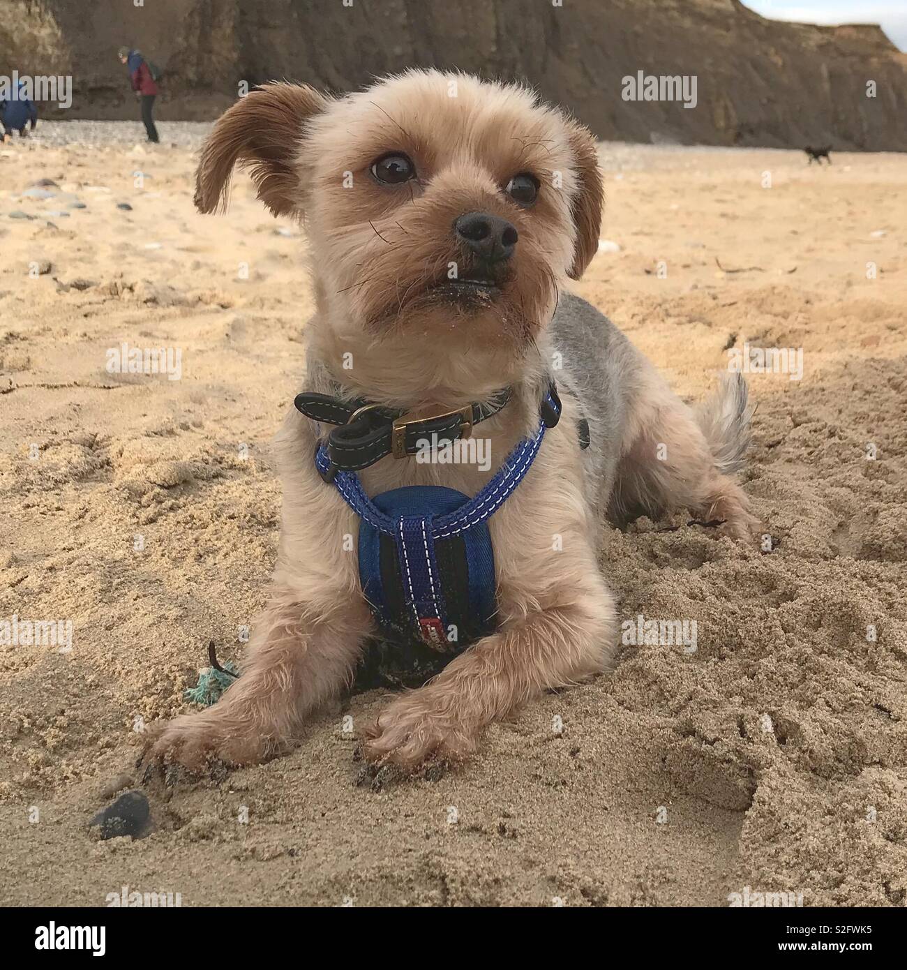 Reflections of 2018 exploring another beach on New Year’s Eve Stock ...