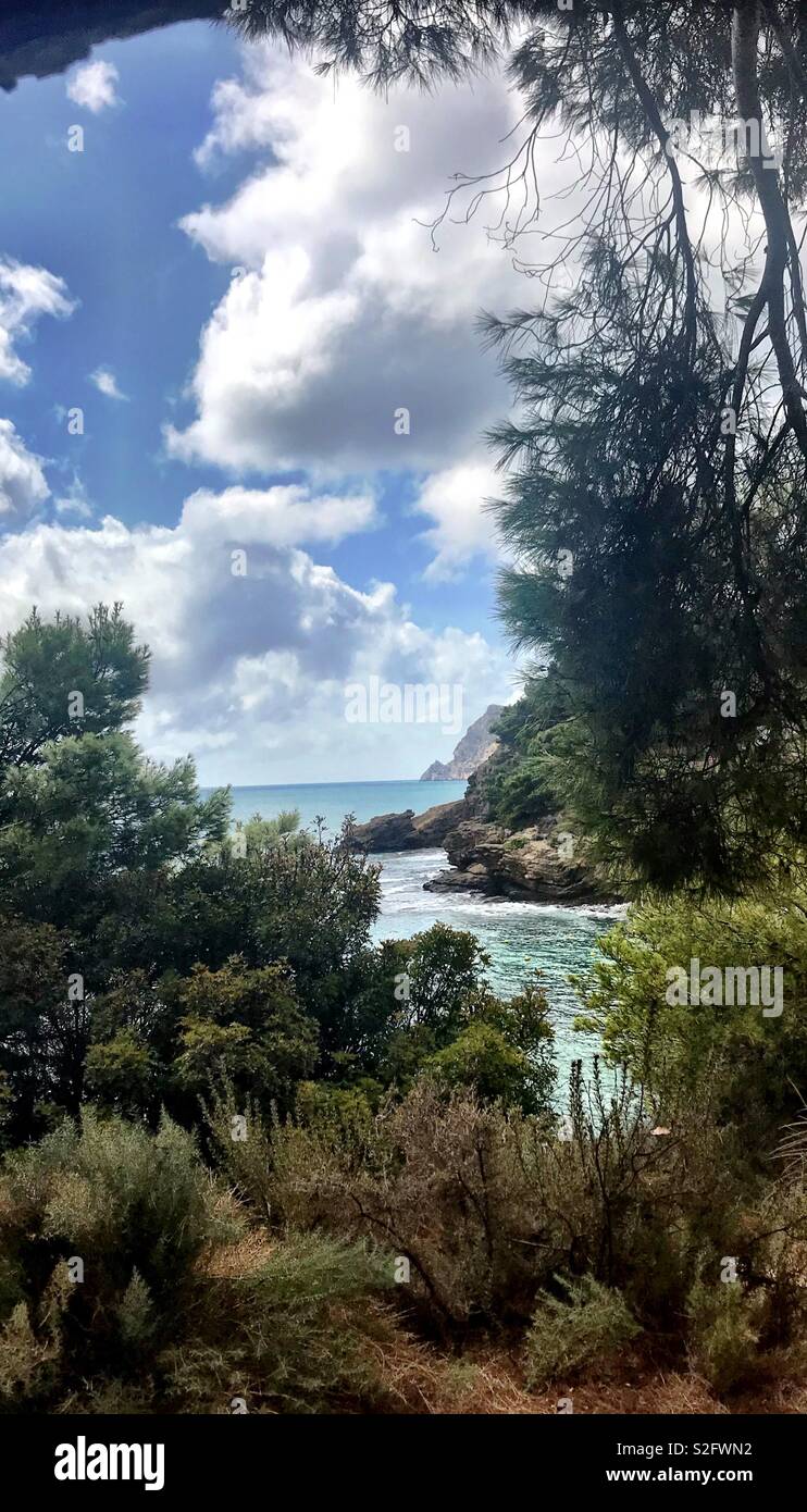 Coastal trees and sea Stock Photo - Alamy