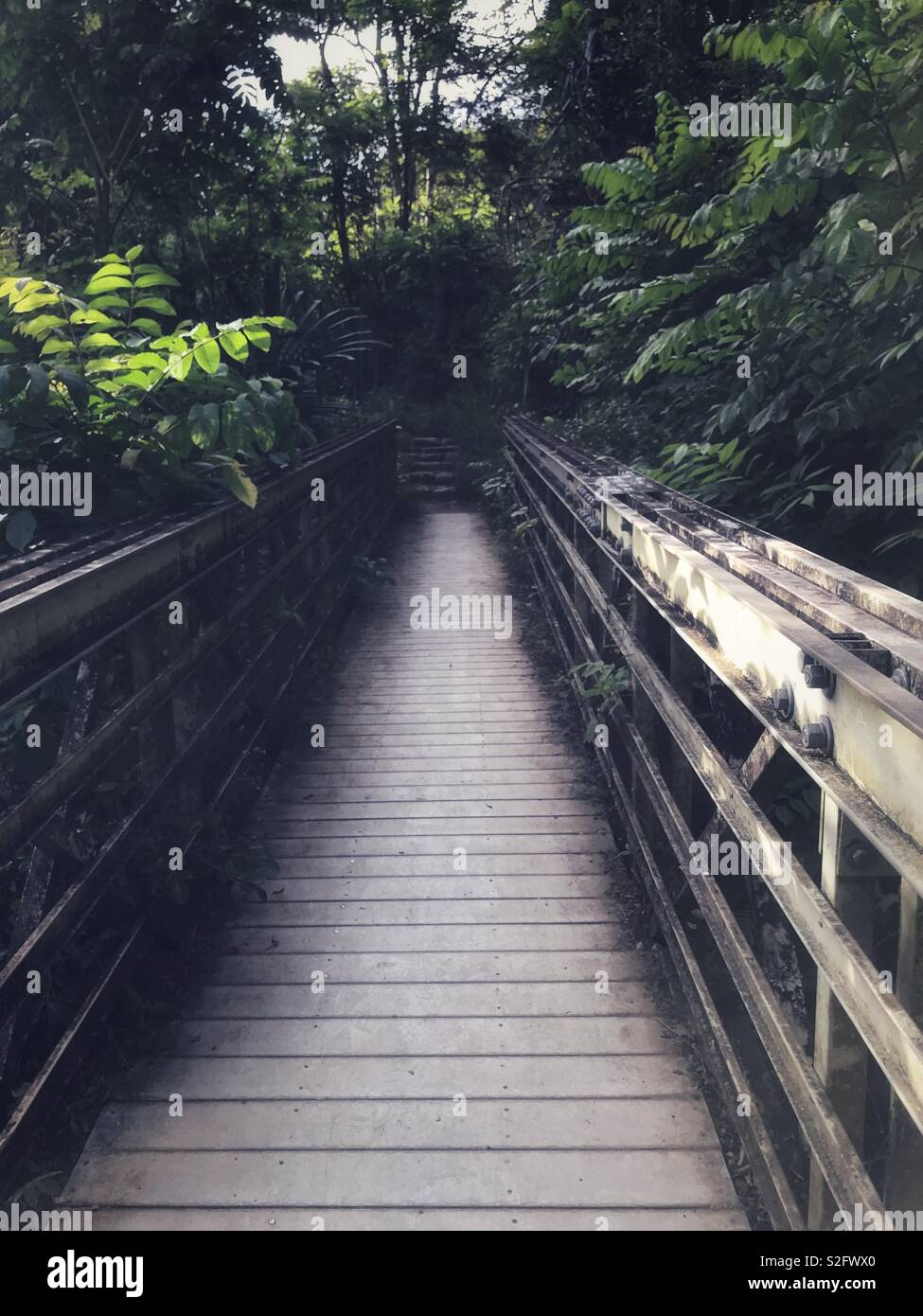 Bridge along Pipiwai trail, Haleakalā National Park, Maui Stock Photo ...