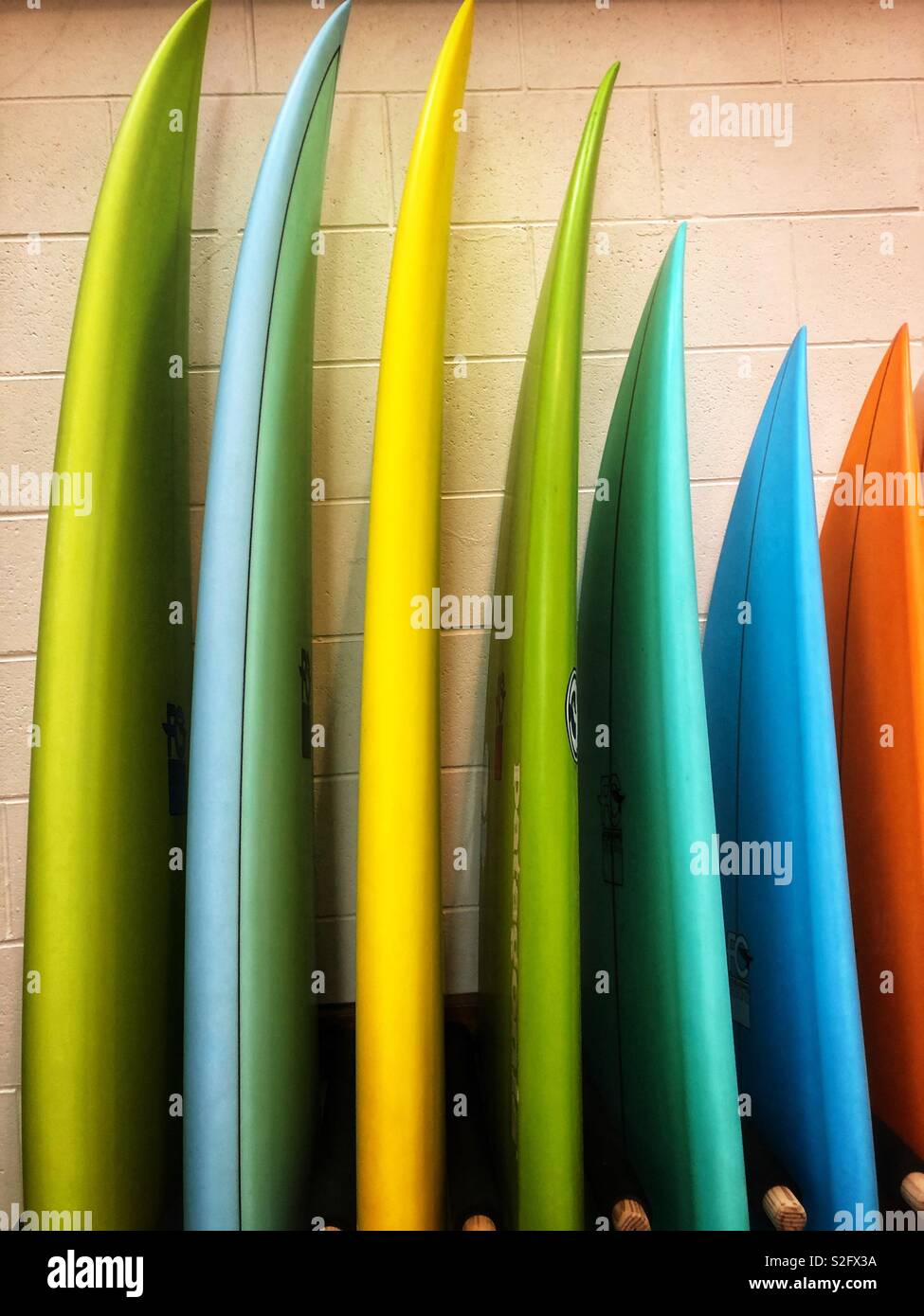 Line of surfboards Stock Photo - Alamy